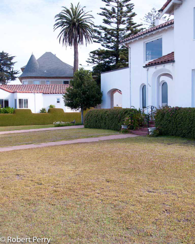 Common lippia - Waterwise Garden Planner