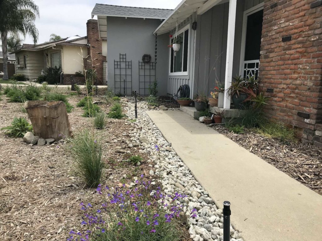 French drain details - Waterwise Garden Planner