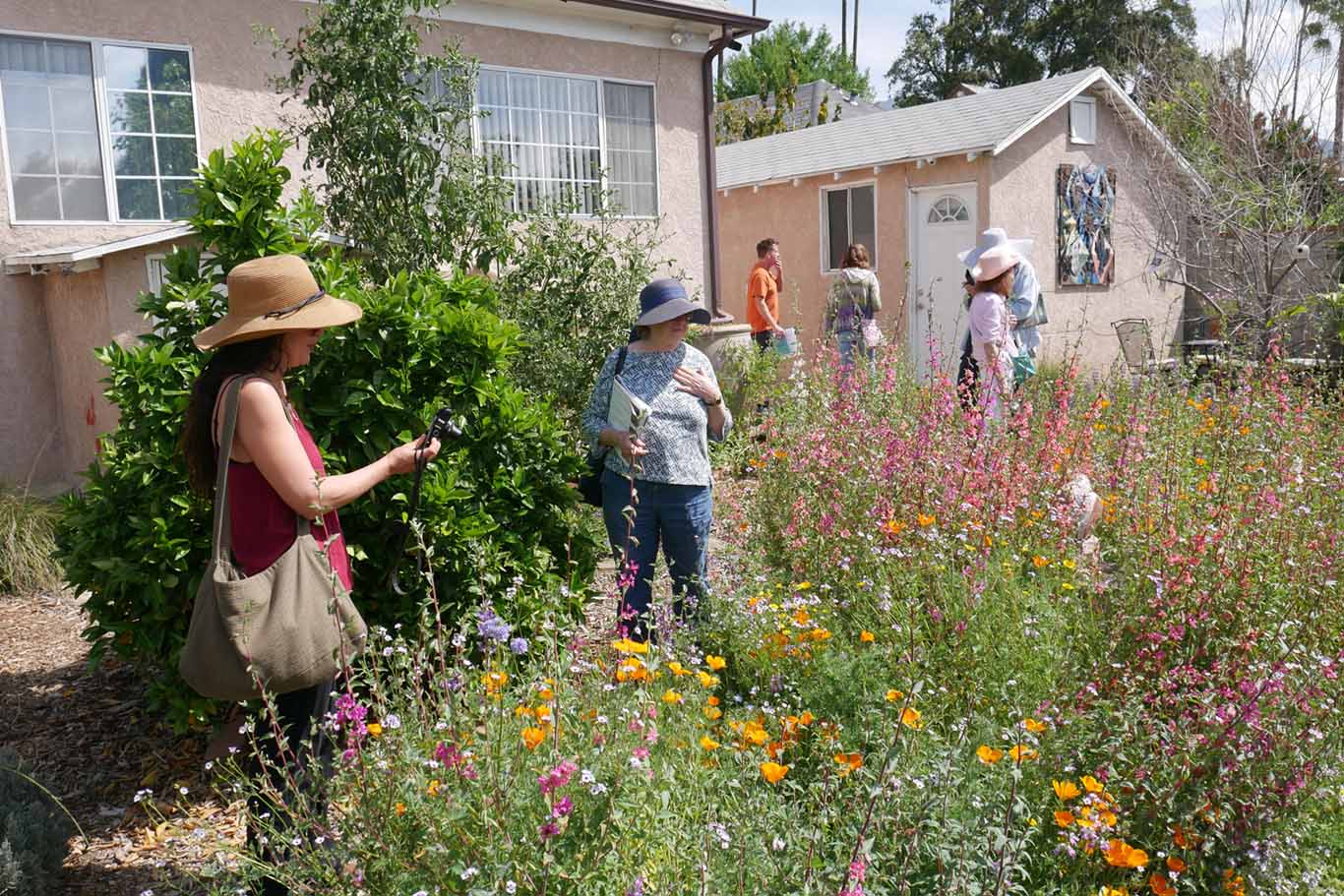 Wildflowers - Waterwise Garden Planner