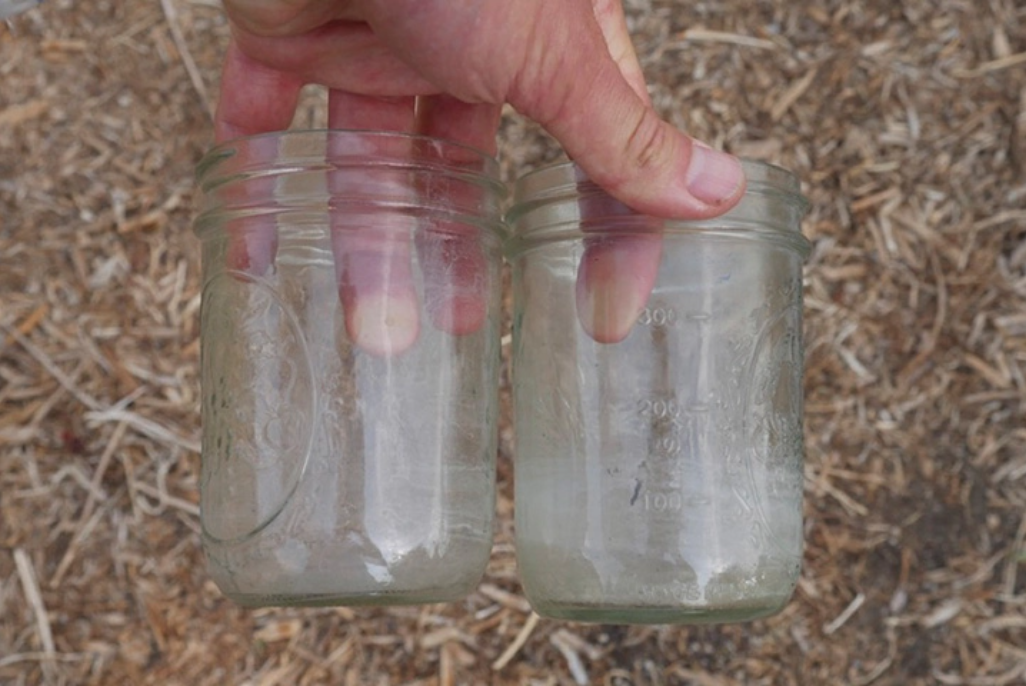 Irrigation: How to water waterwise or California native plants ...